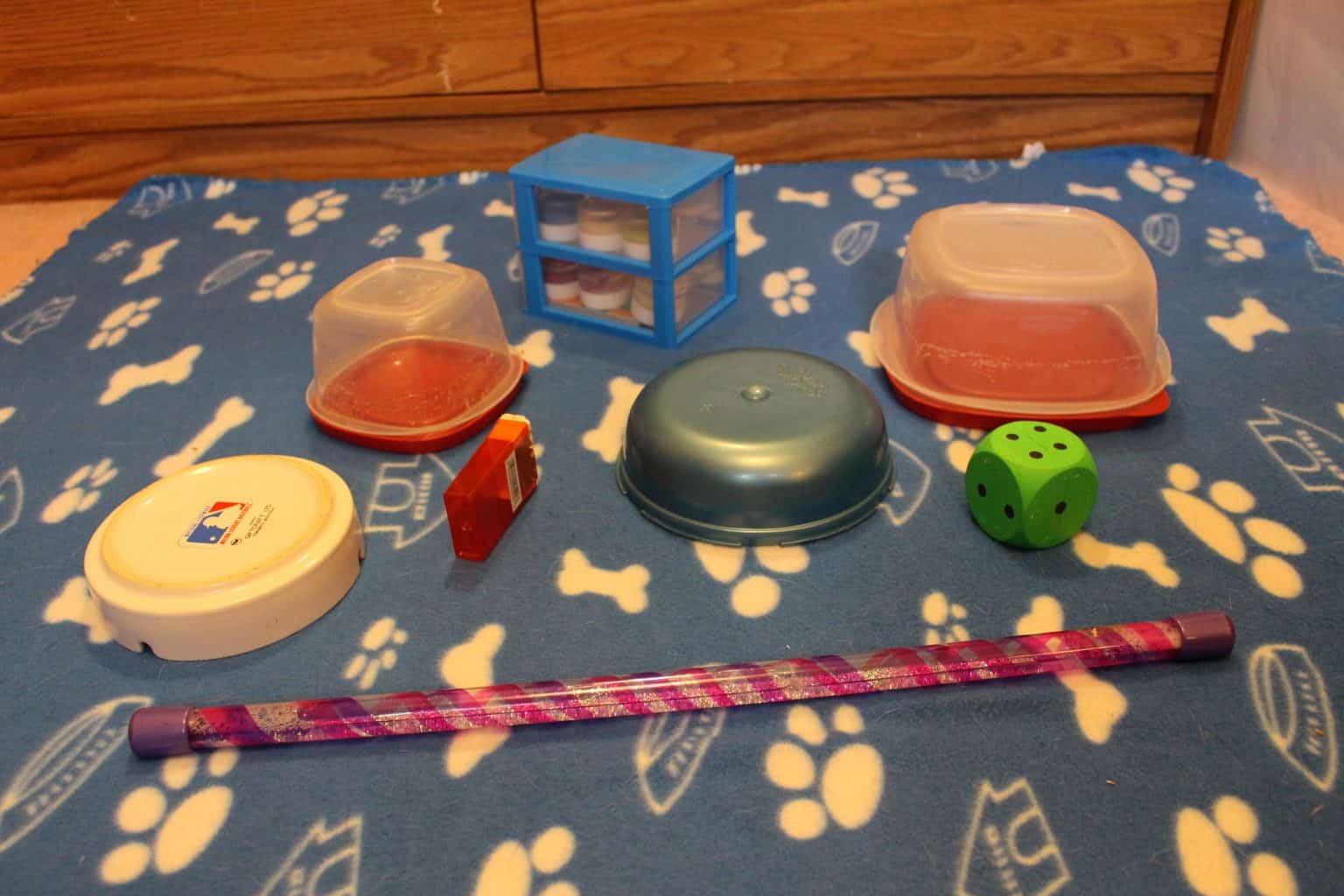 How To Teach A Guinea Pig To Put Their Paws Up On An Object - Amazing ...