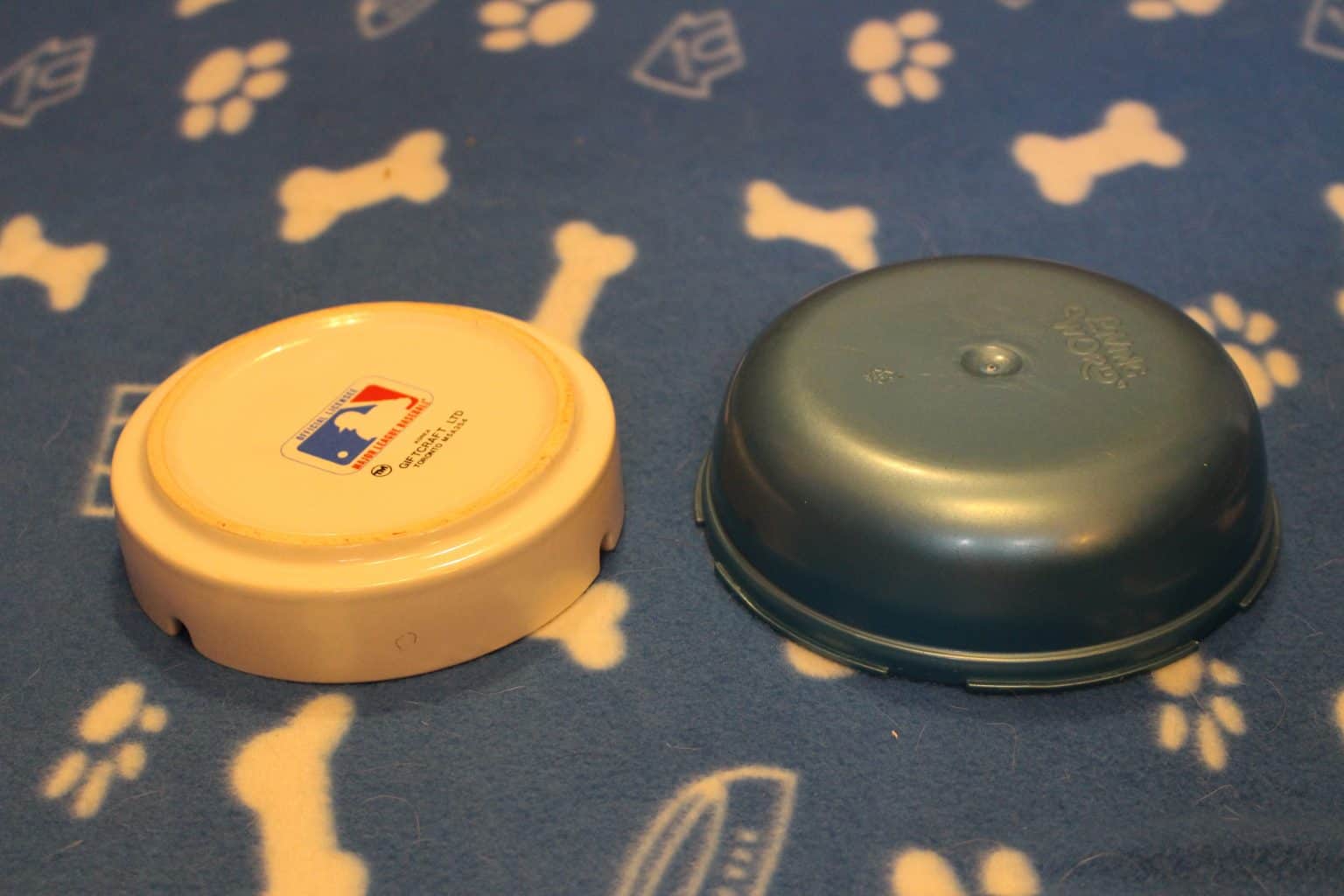 How To Teach A Guinea Pig To Put Their Paws Up On An Object - Amazing ...