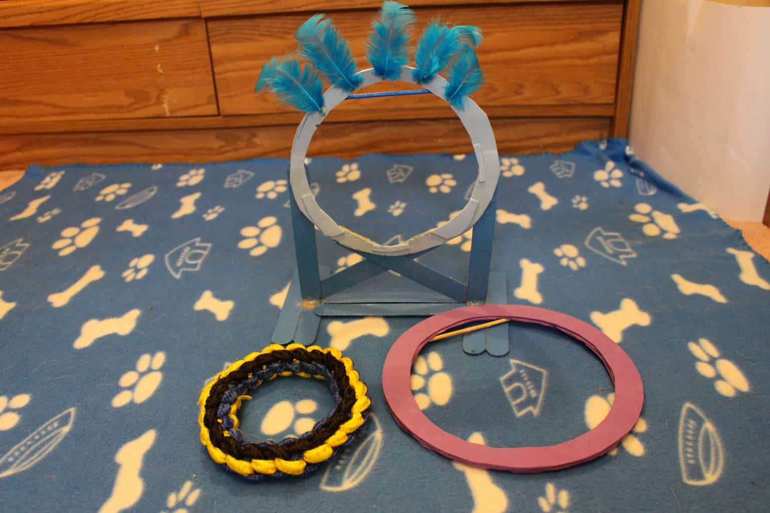 How To Teach A Guinea Pig To Jump Through A Hoop - Amazing Animal Tricks