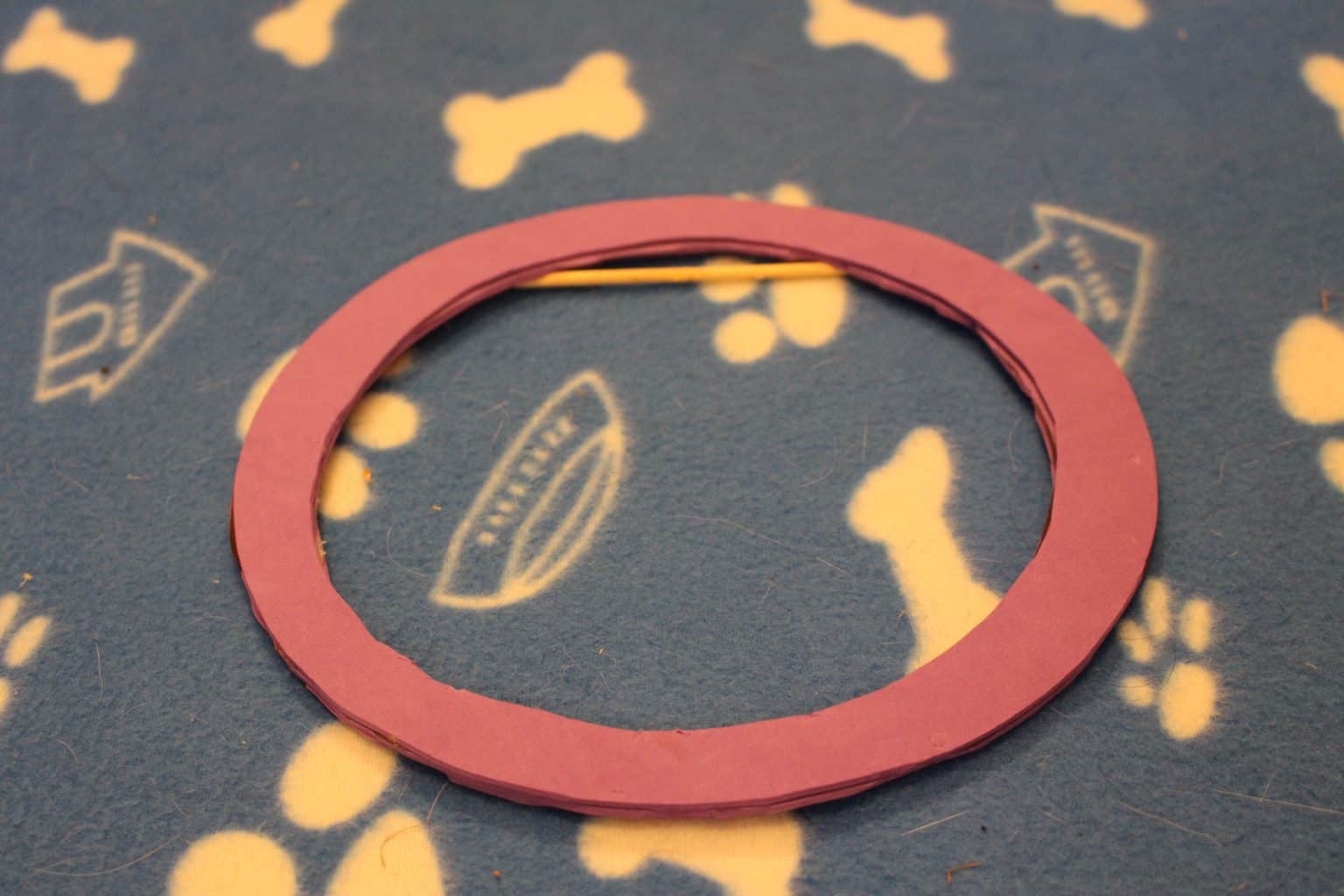 How To Teach A Guinea Pig To Jump Through A Hoop - Amazing Animal Tricks