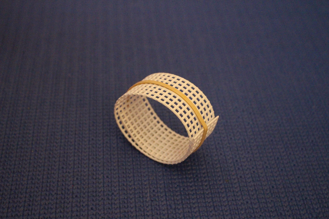 How To Teach A Fish To Swim Through A Hoop Or Tunnel - Amazing Animal ...